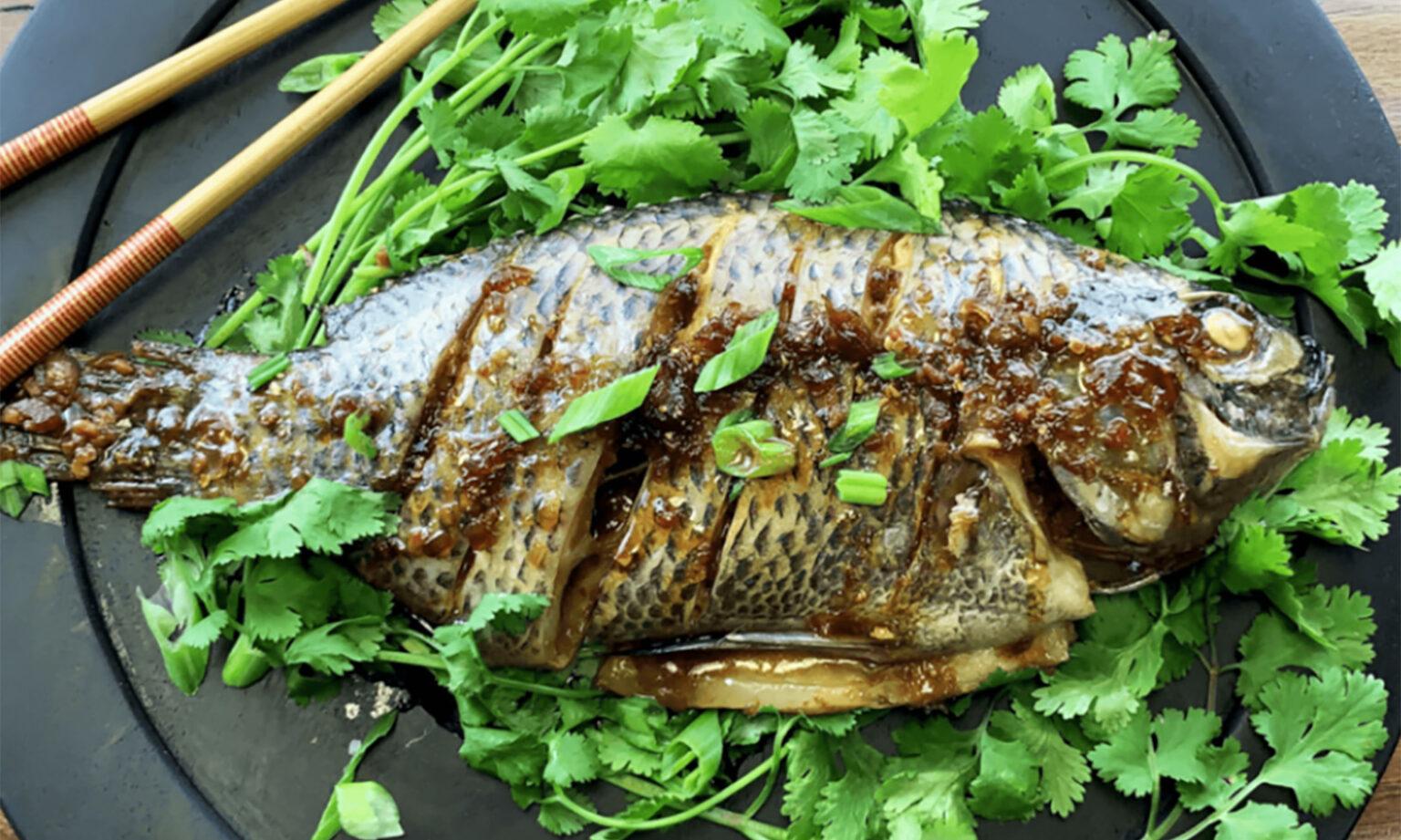 Regal Springs | The #1 producer of sustainably farmed tilapia